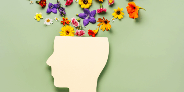 Back to Basics: What is PDA? (Pathological Demand Avoidance/Pervasive ...